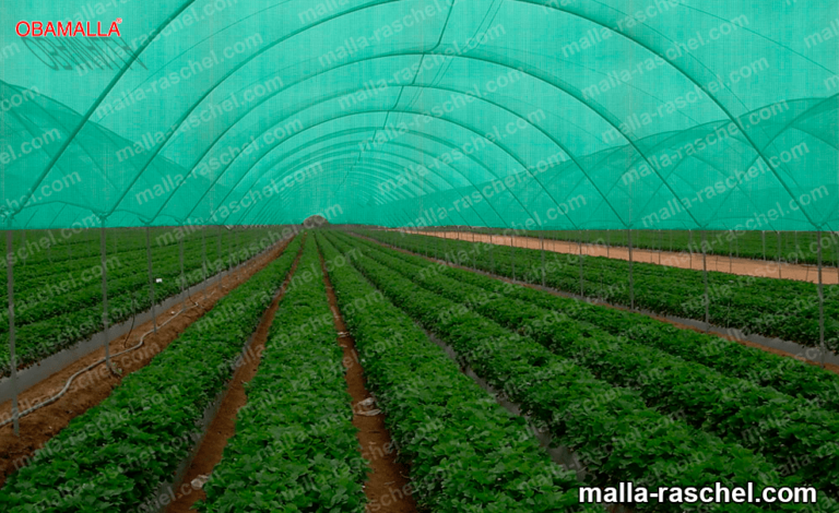 Funciones de la Malla Raschel (malla de tela tejida) - Malla Raschel